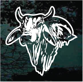 Bull Head Decals & Car Window Stickers | Decal Junky