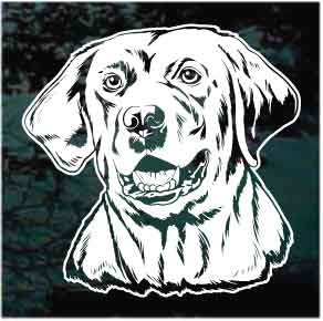 Amazing Labrador Retriever Head Decals & Stickers | Decal Junky
