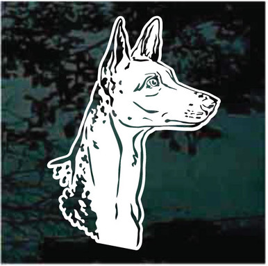 Ibizan Hound Dog Head Decals Stickers for Cars Trucks Windows