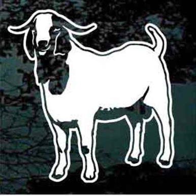 Boer Goat Standing Decals & Car Window Stickers | Decal Junky