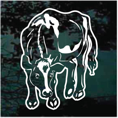 Holstein Cow Cattle Car Decals & Window Stickers | Decal Junky