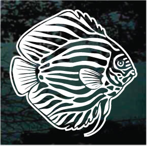 Exotic Tropical Fish Car Decals & Window Stickers | Decal Junky