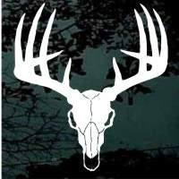 Deer Hunting Window Decals - European Deer Skull Mount Decal