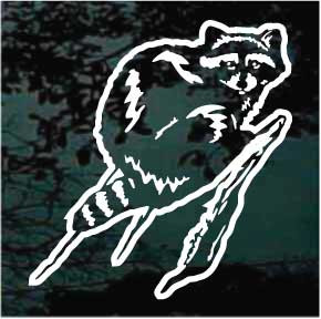 Raccoon On A Limb Car Decals & Window Stickers | Decal Junky