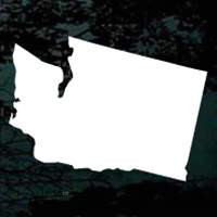 State of Washington Decal & Window Sticker