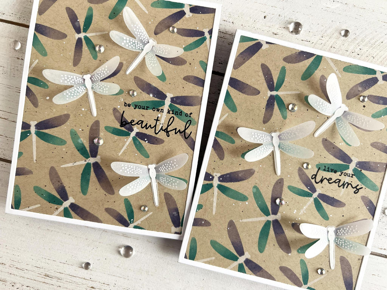 Dragonflies Stamp & Stencil Combo