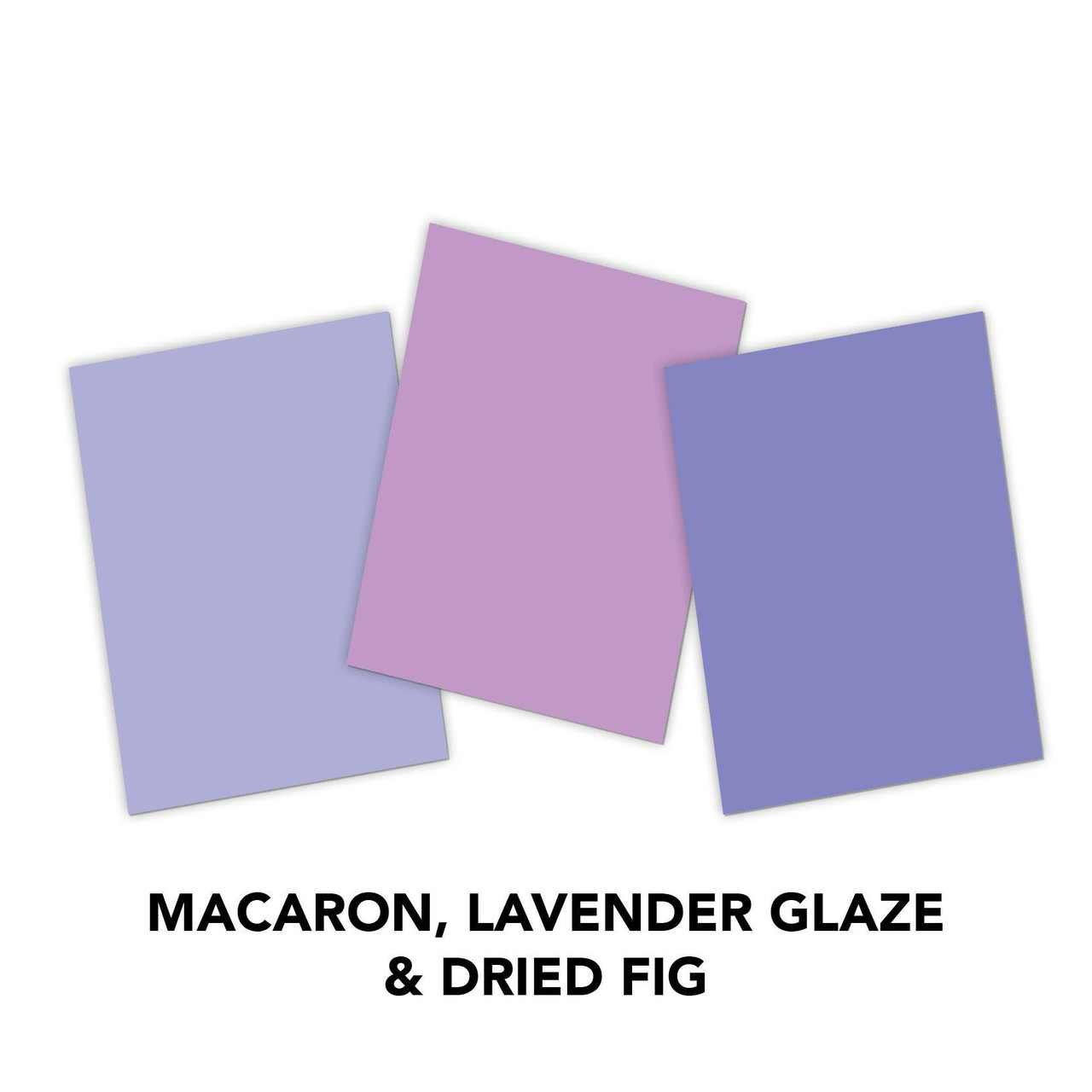 TE Premium Cardstock - Lavender Glaze - Taylored Expressions