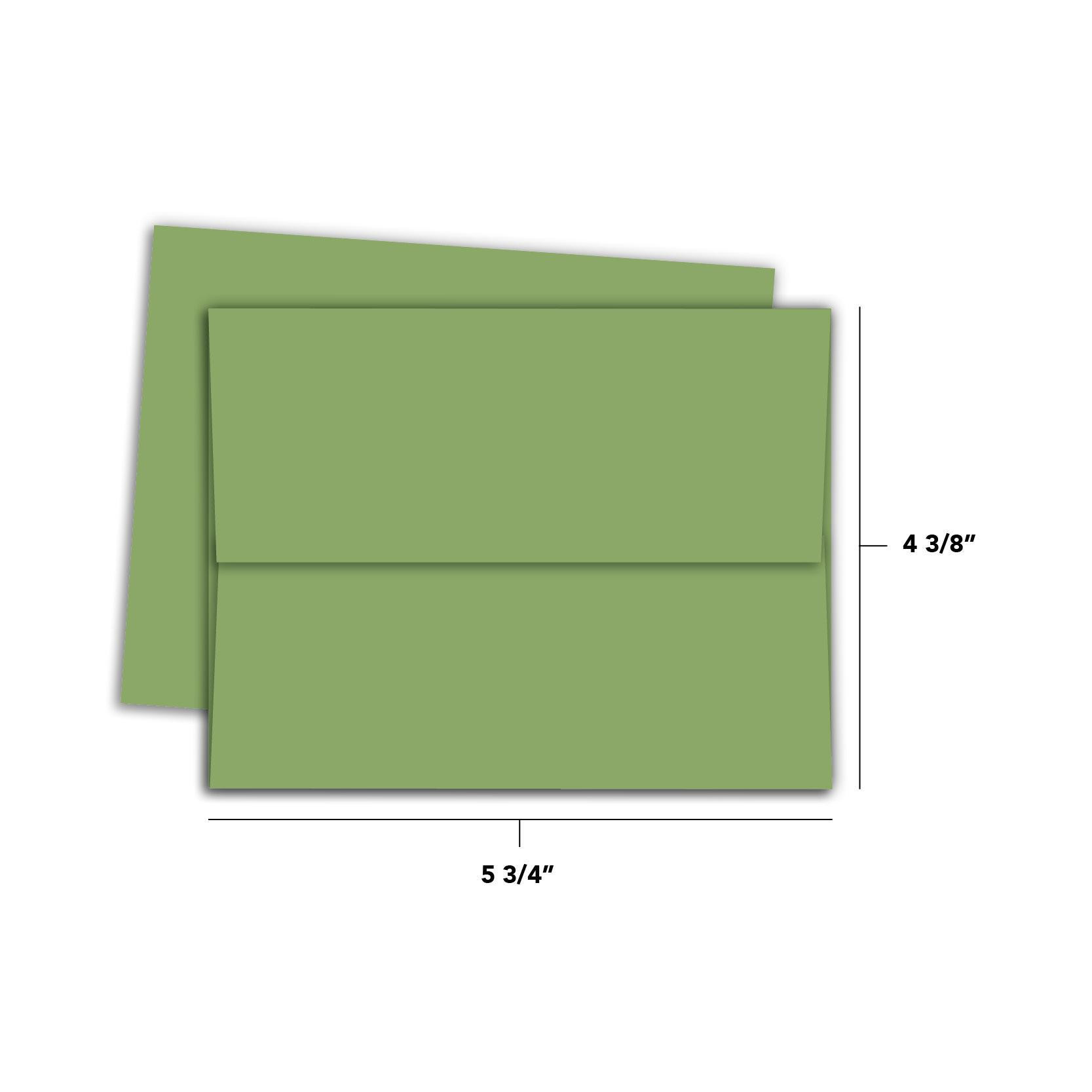 Medium Envelope