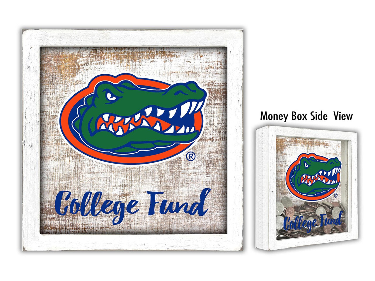 Florida Gators College Fund Money Box - Sports Unlimited