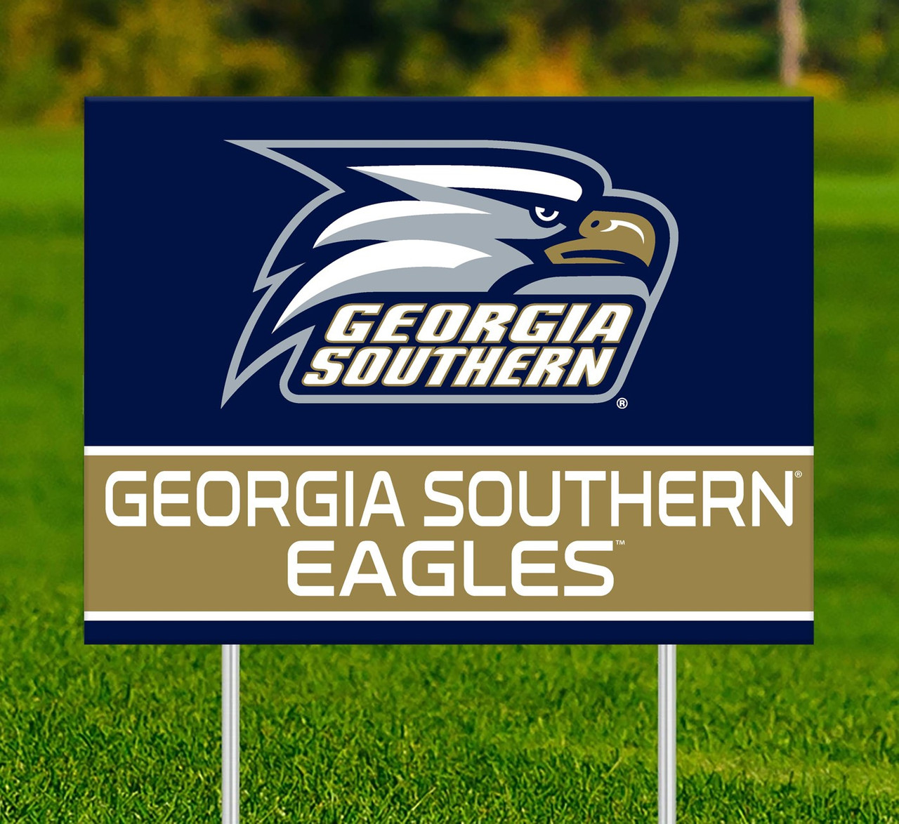 Georgia Southern Eagles Team Name Yard Sign - Sports Unlimited