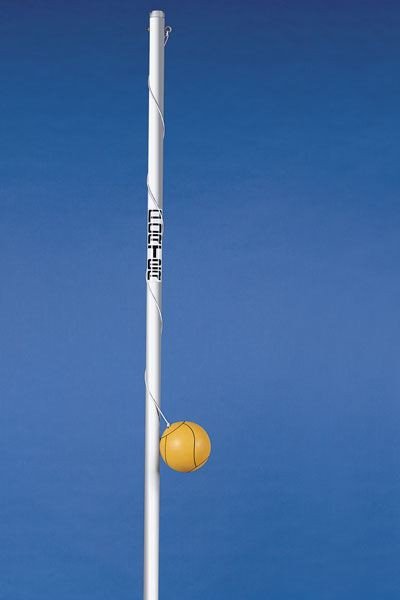 Bison Outdoor In-Ground Tetherball Set