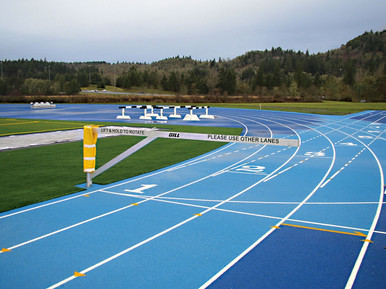 Gill Athletics 3-Lane Track Gate - Sports Unlimited
