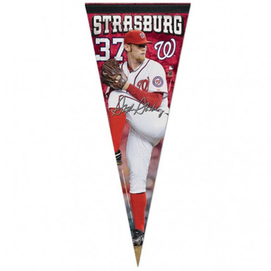 Washington Nationals 12" x 30" Premium Pennant - Sports Unlimited