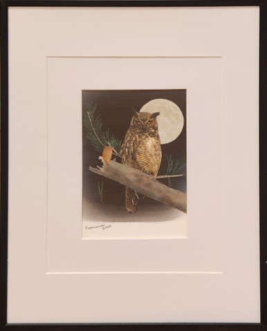 Barn Owl - Twigs & Leaves Gallery