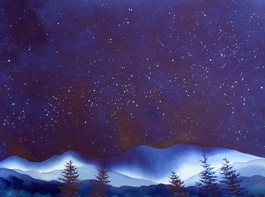 Midnight Starlight - Twigs & Leaves Gallery