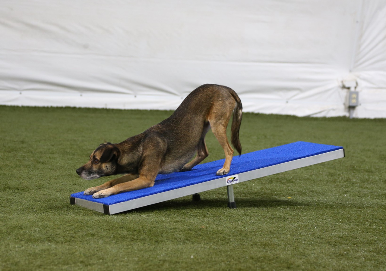 VersaFit Plank - Clip and Go Agility