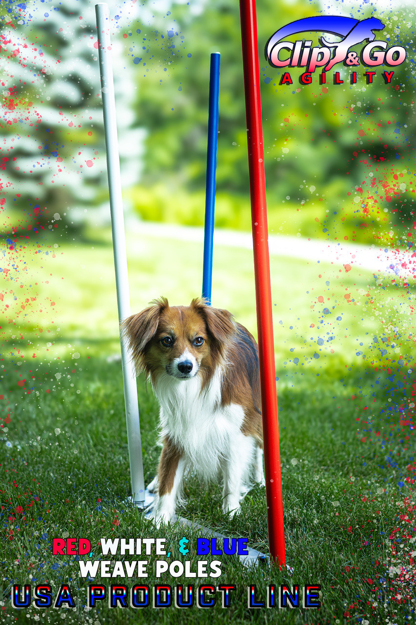 USA- RED, WHITE, & BLUE Weave Poles, 6 Pole Set (Poles Only) - Clip and ...