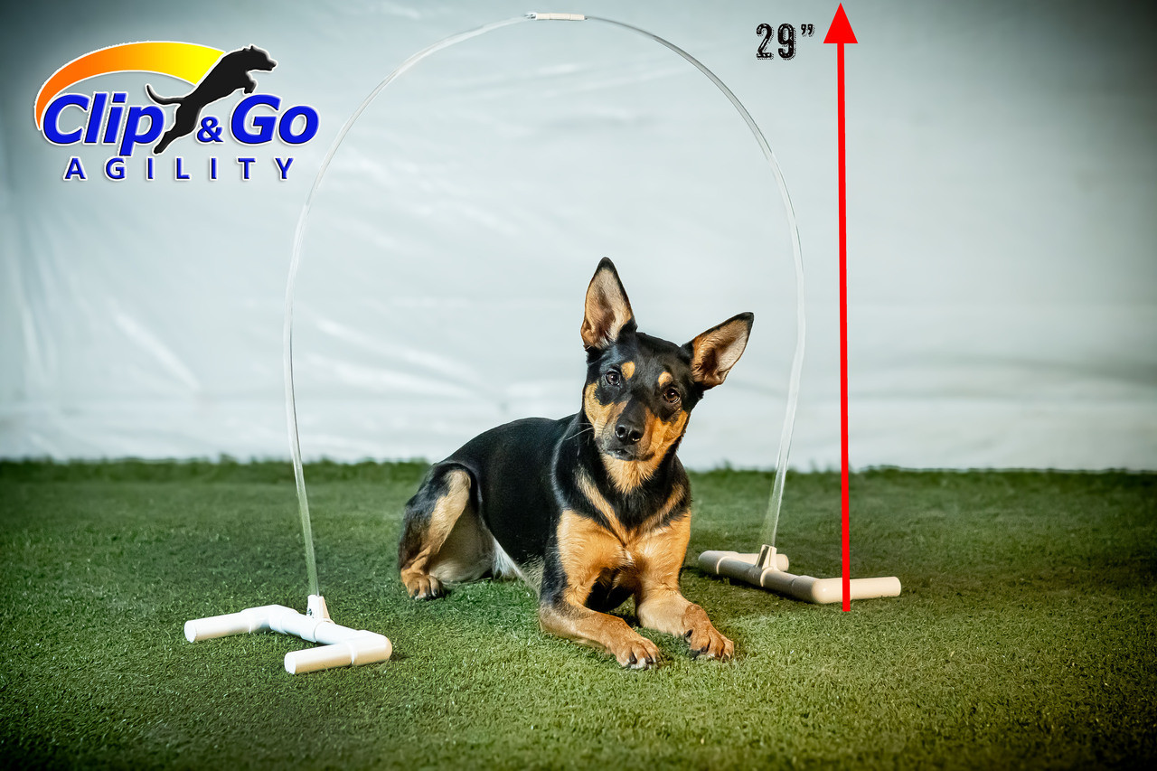 Contact Hoops Set of 2- Clip and Go Agility