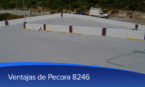 Ventajas de Pecora 8246 (antes CCW5123) - Abinco