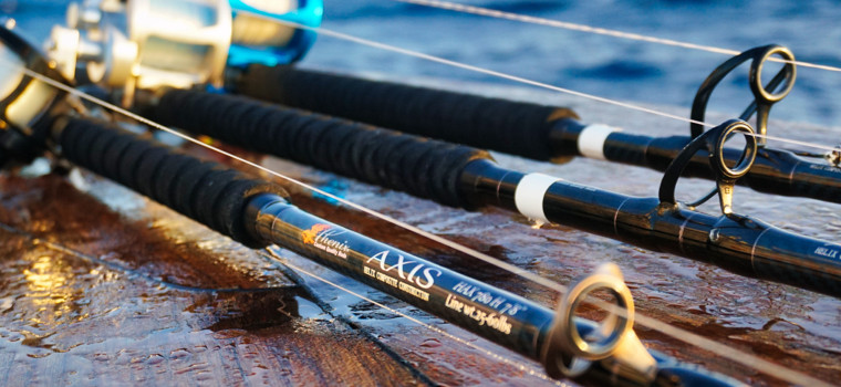 Phenix Rods Products - Baits.com