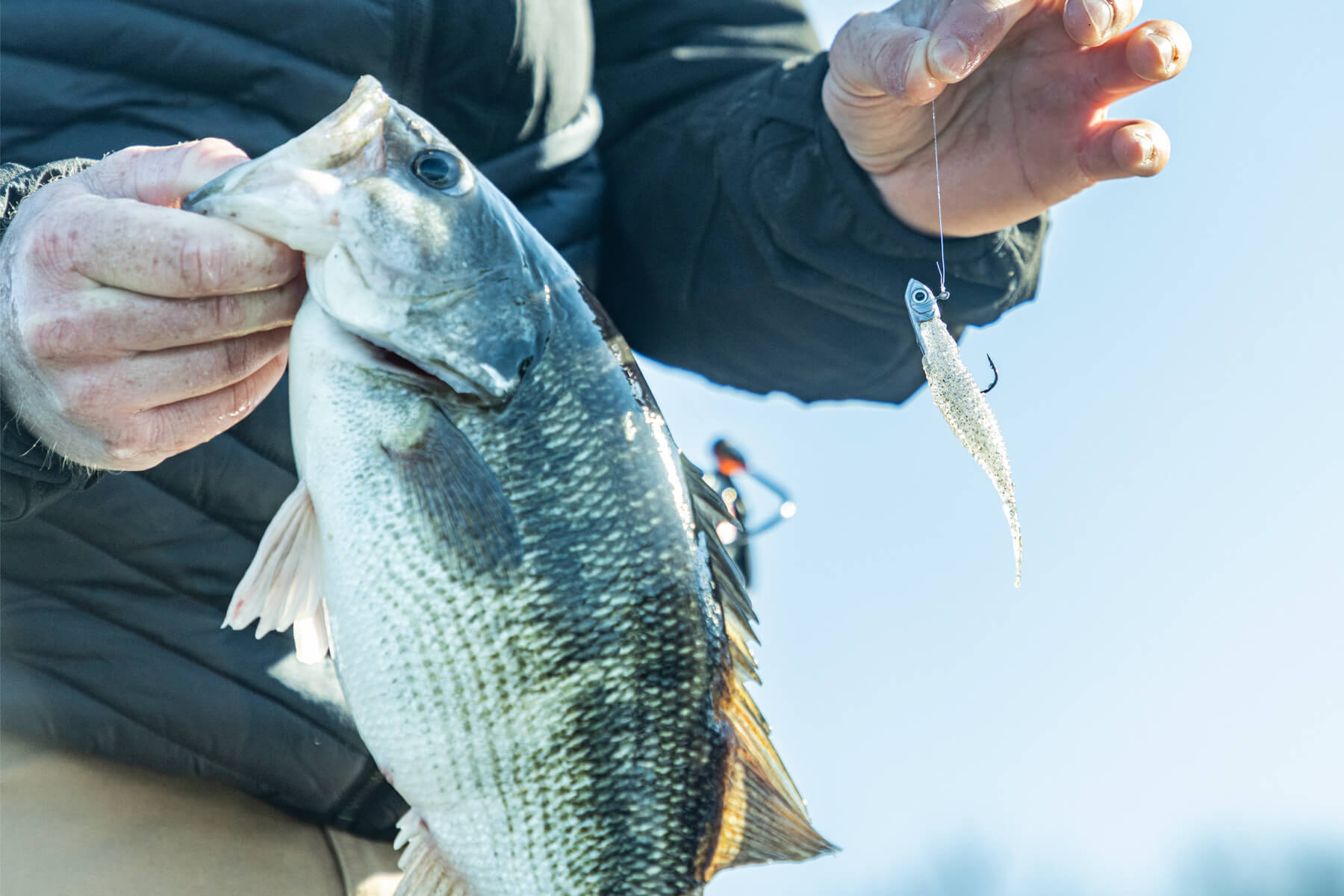 Premium Fishing Lures, Rods & Reels | Baits.com
