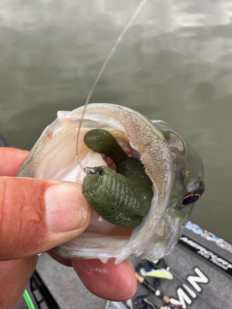 A New Bait in Fred's Tackle Box - Baits.com