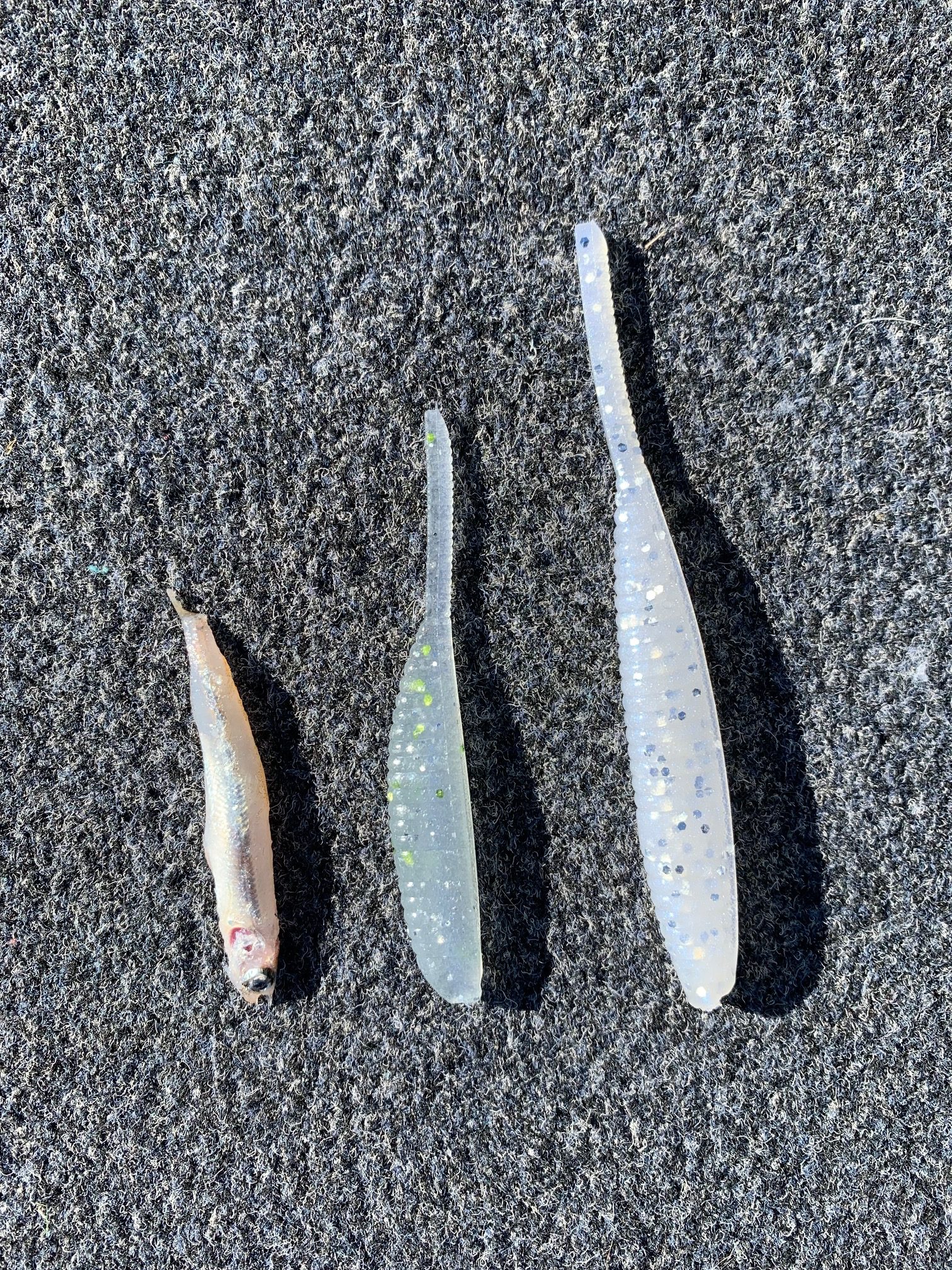 Fishing the 3” Shad Shape Worm - Baits.com