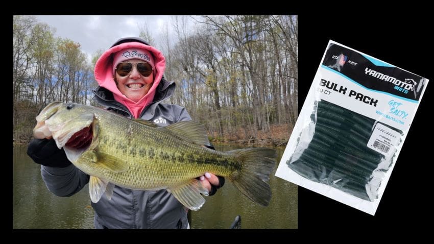 Simpler Times - Baits.com