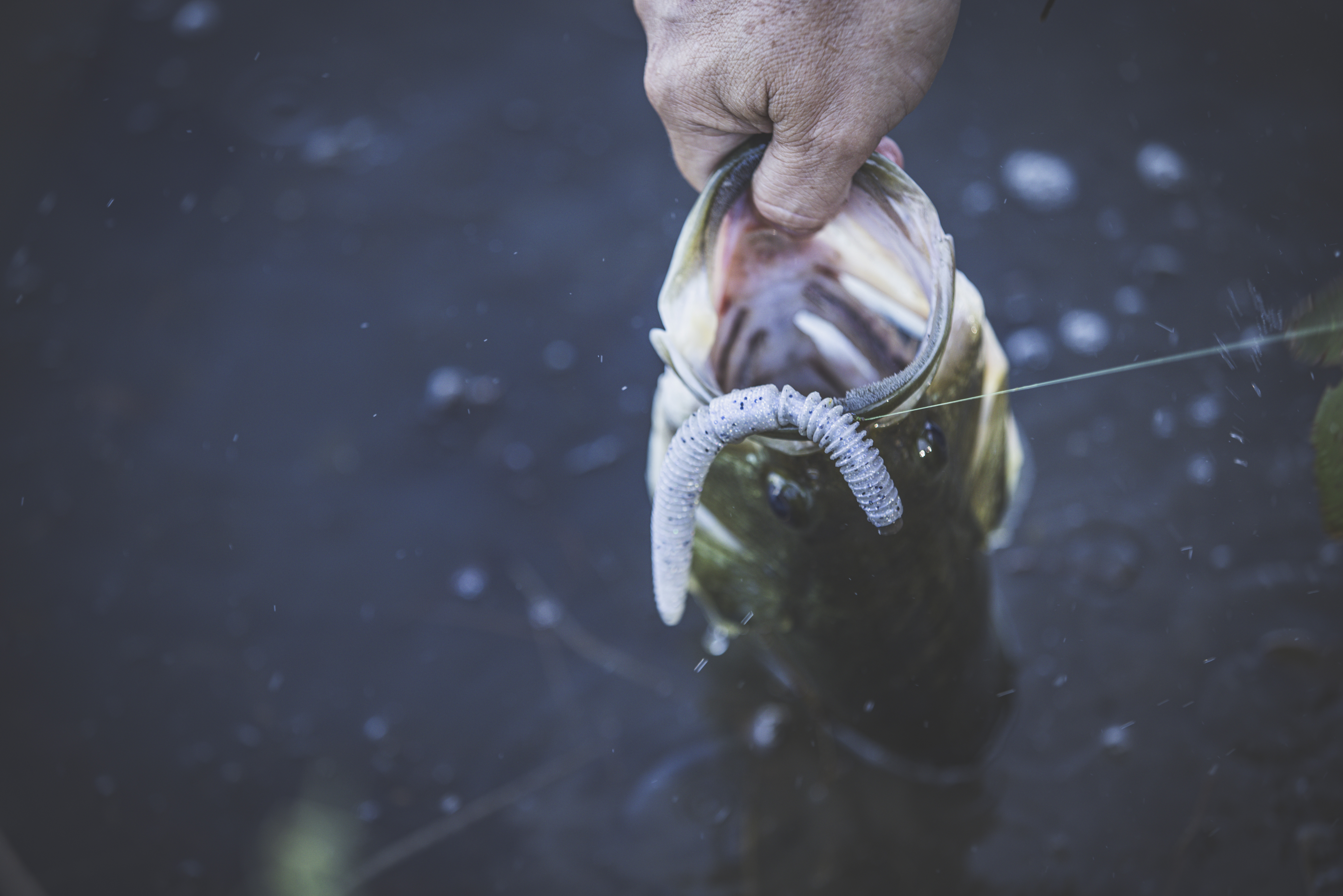 Yamamoto Debuts Slinko - Stopper Lures
