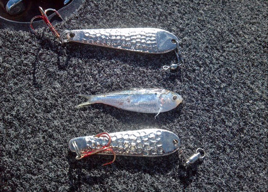 Strengthen Your Spooning Skills - Baits.com