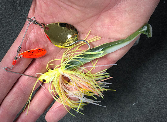 Spinnerbait Trailers for Attracting Pre-Spawn Bass - Baits.com