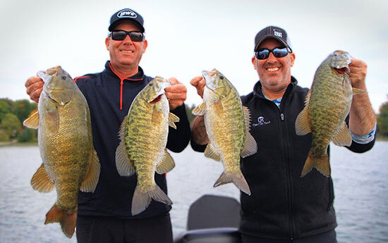 Lessons from the Goat - Baits.com