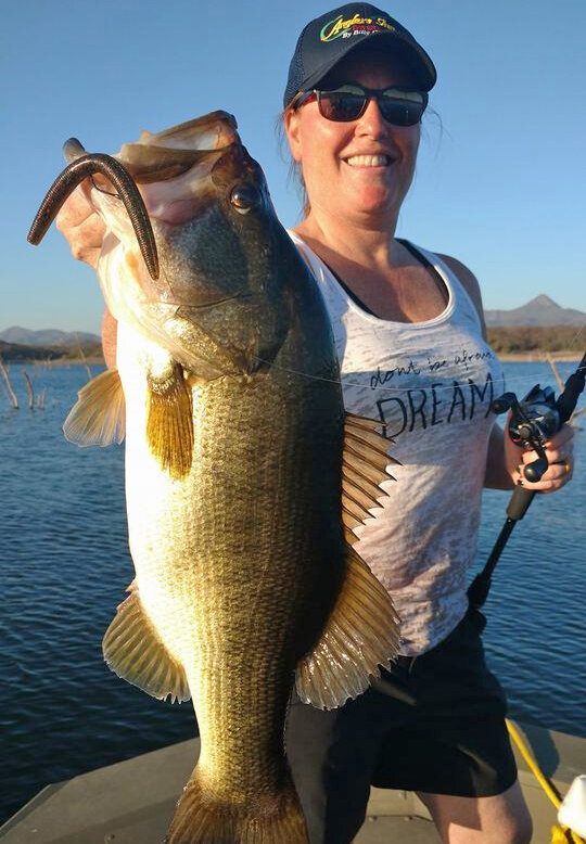 The Singular Senko - Stopper Lures