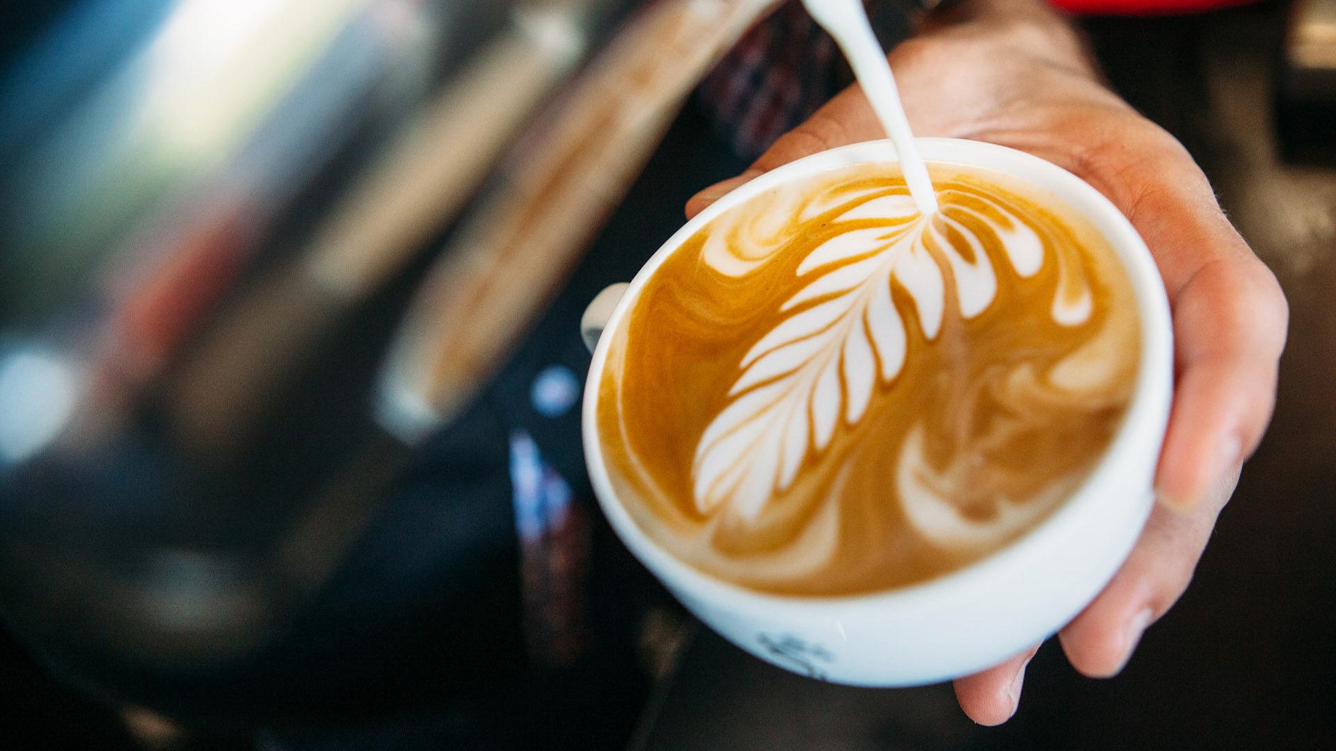 Aromas Coffee Roasters Brisbane | Premium Coffee, Tea and Cafe Suppliers