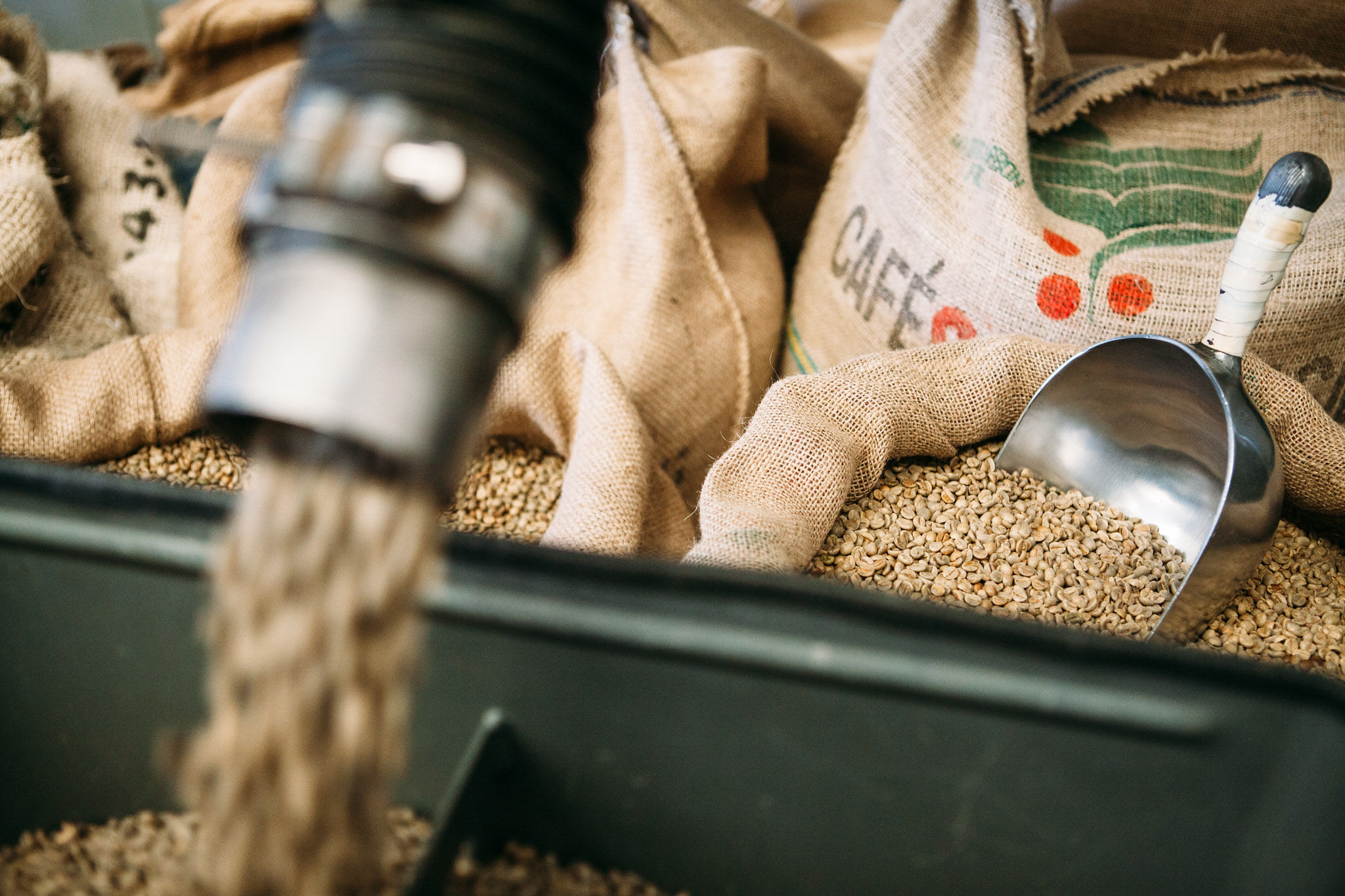 Exploring Coffee Varieties - Aromas Coffee Roasters