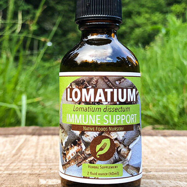 Roots - Native Foods Nursery