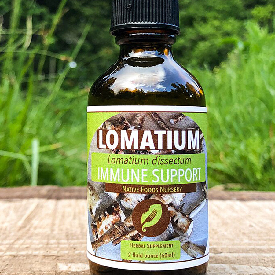 Roots - Native Foods Nursery