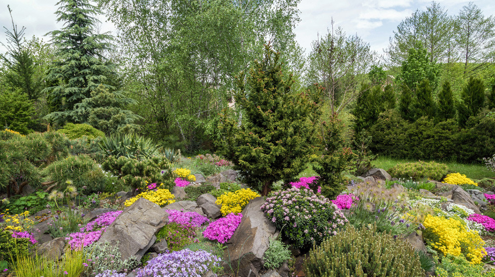 Buy Ecological Plant Packages | Native Foods Nursery