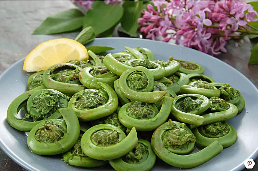 Sauteed Fiddlehead Ferns - Native Foods Nursery