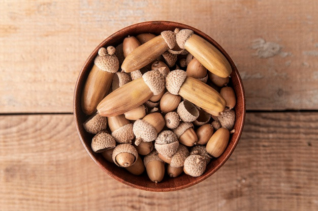 Native Foods Blog - Native Foods Nursery
