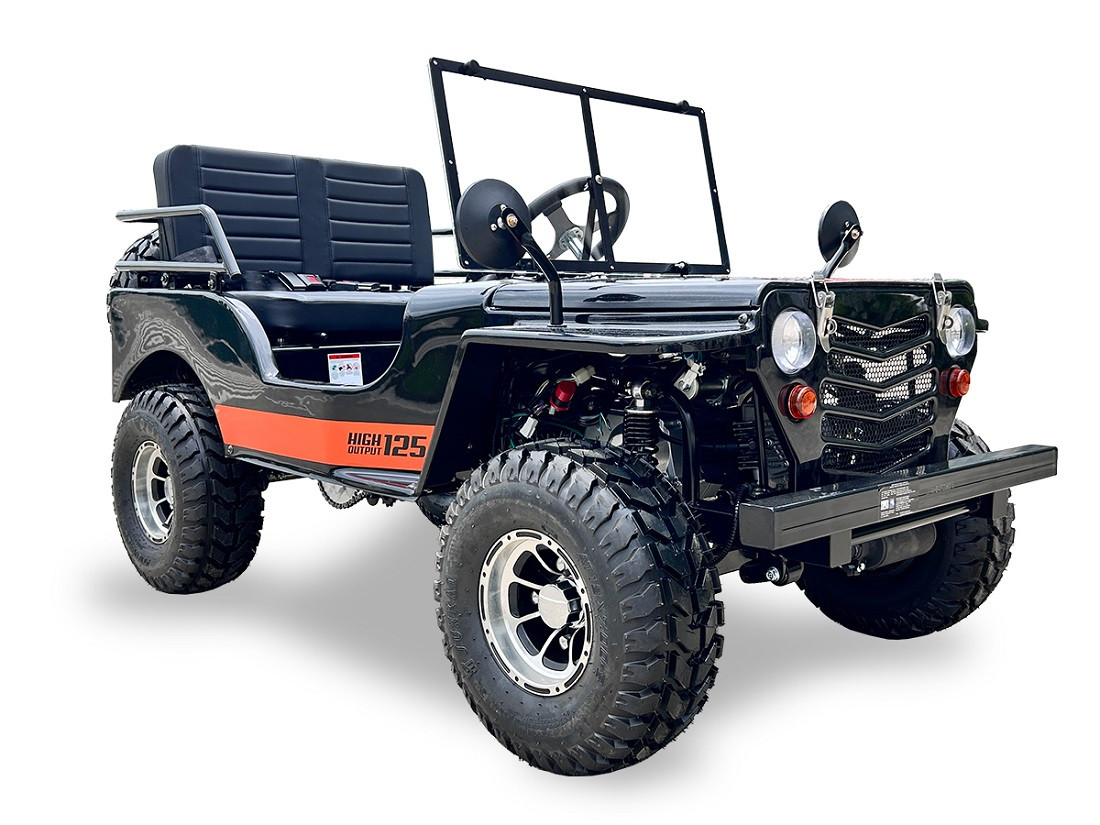 Buy Ice Bear Jeep off Road 125cc Fully Assembled - 360Powersports.com