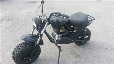 Buy TRAILMASTER MB200-2 MINI BIKE for Sale at 360powersports.com
