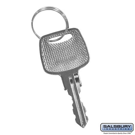 Salsbury Master Control Key - for Resettable Combination Lock of Cell ...
