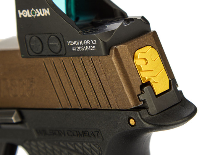 NDZ Performance Sig P365, P365 XL, P365 X-Macro Rear Slide Plate, Aspis ...