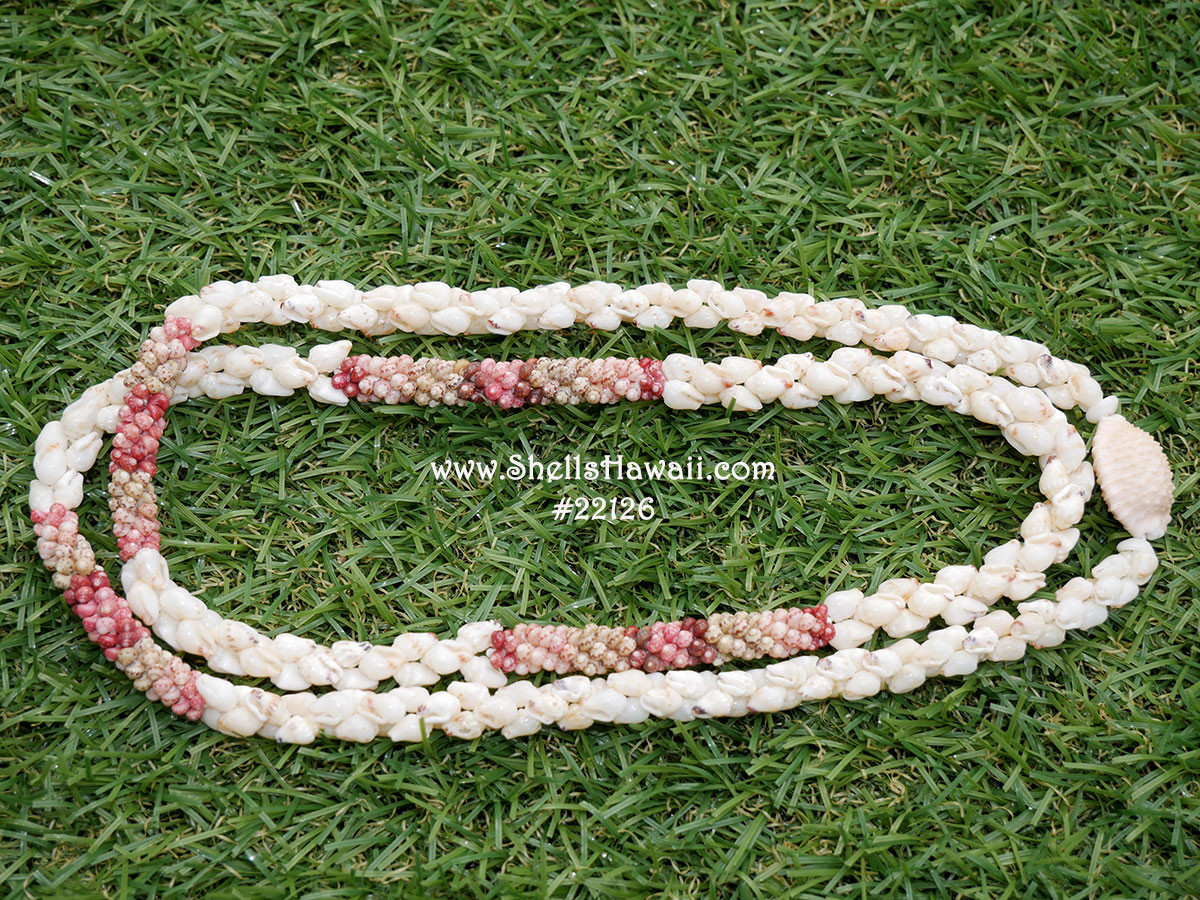 Momi & Kahelelani shell necklace/Niihau shell necklace/lei #22126 ...