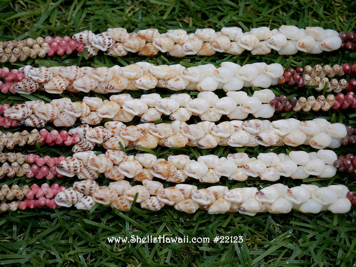 50" triple strands kipona style shells lei/Niihau & kahelelani shell ...