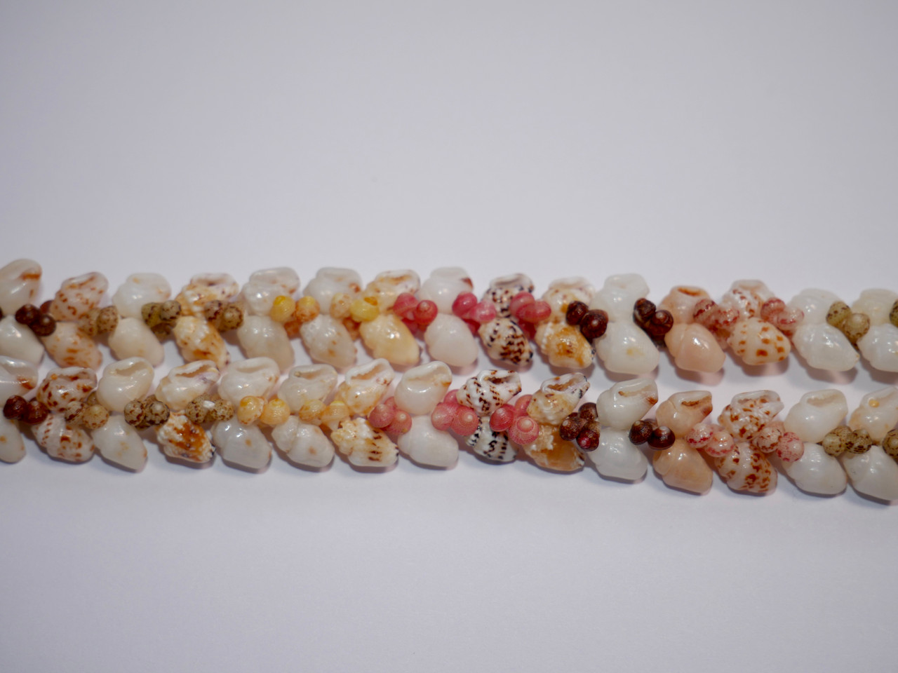 18 3/4” Candy corn Momi, kahelelani& sunrise shell lei #919 ...
