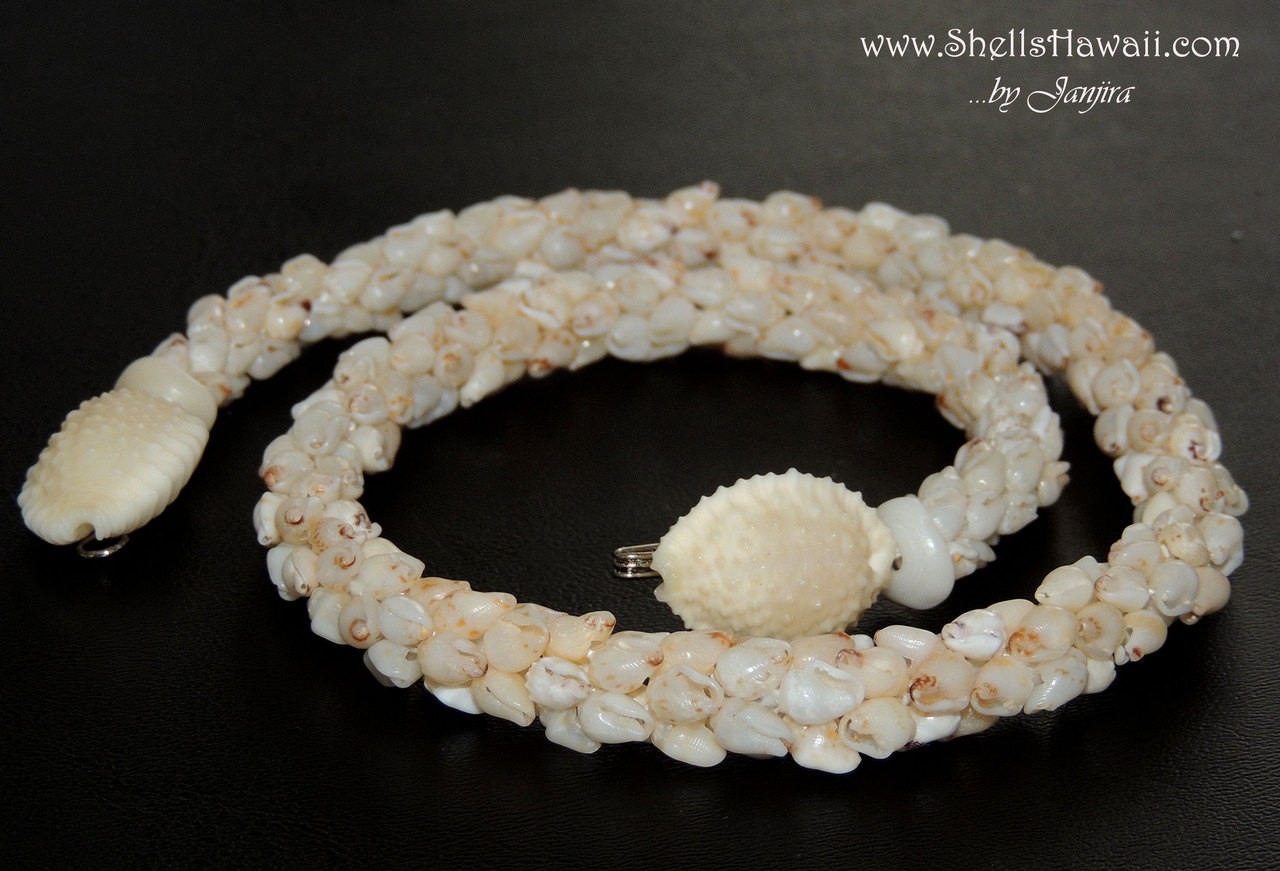 Niihau Momi poepoe shell lei - ShellsHawaii.com