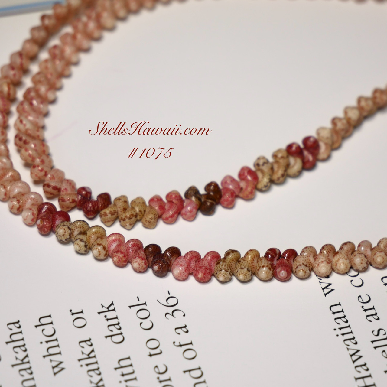 20 1/4" Niʻihau Kahelelani Shell Lei – Manuʻa Loa Style in Hawaiian ...