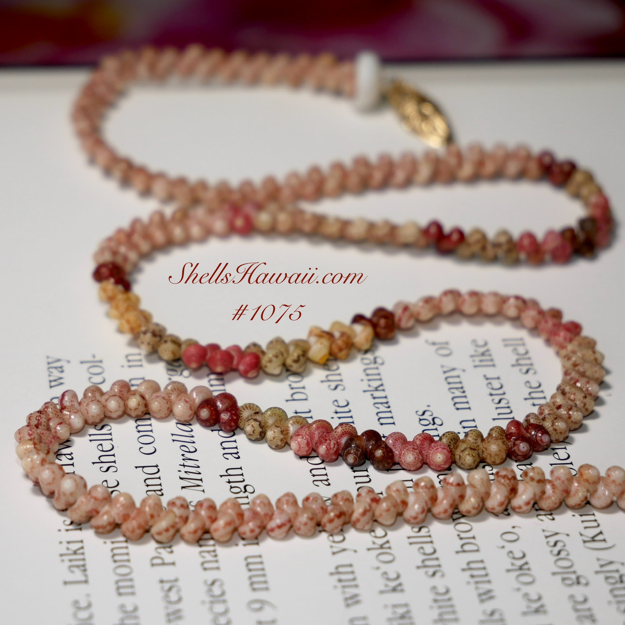 20 1/4" Niʻihau Kahelelani Shell Lei – Manuʻa Loa Style in Hawaiian ...
